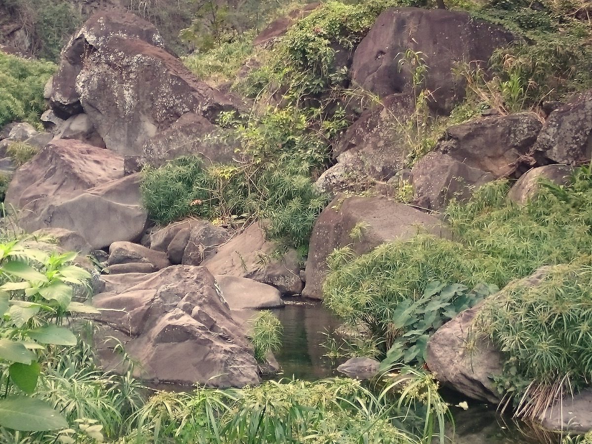 Réserve naturelle nationale de l'étang Saint-Paul : Les patrimoines de ...