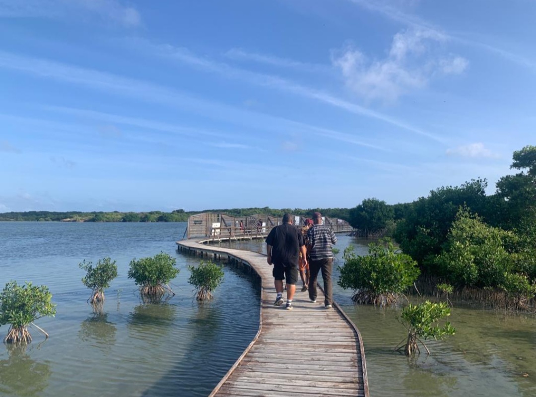 Le Concrete Martinique Tour (CMT) de Dieudonné - Bondamanjak