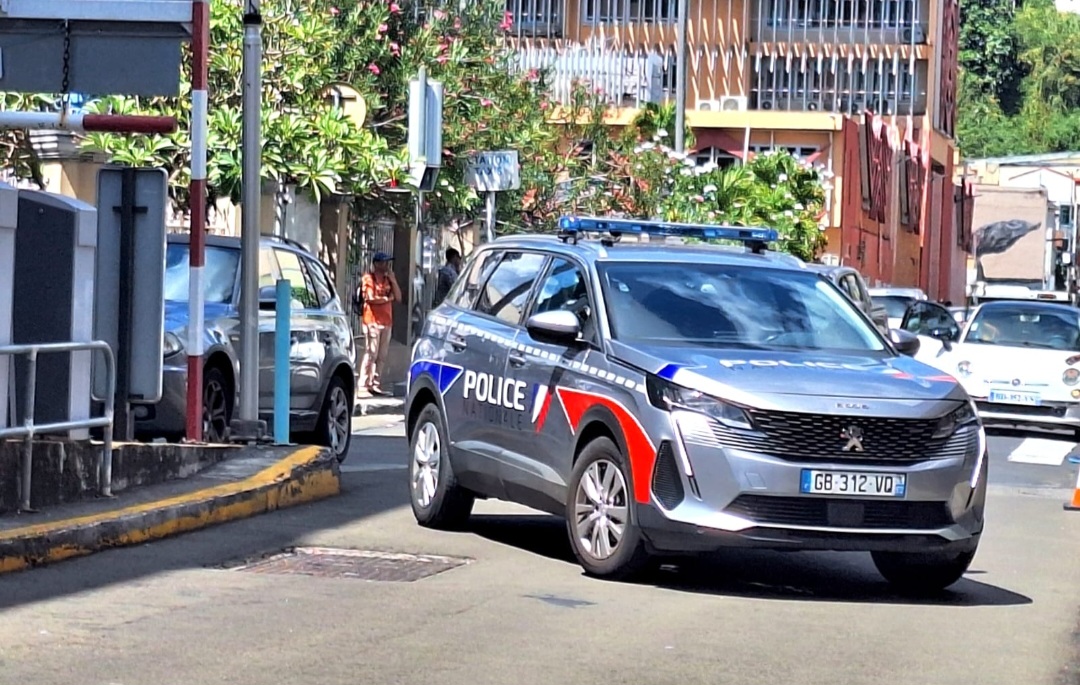 Police Pinto Day in Martinique - Bondamanjak