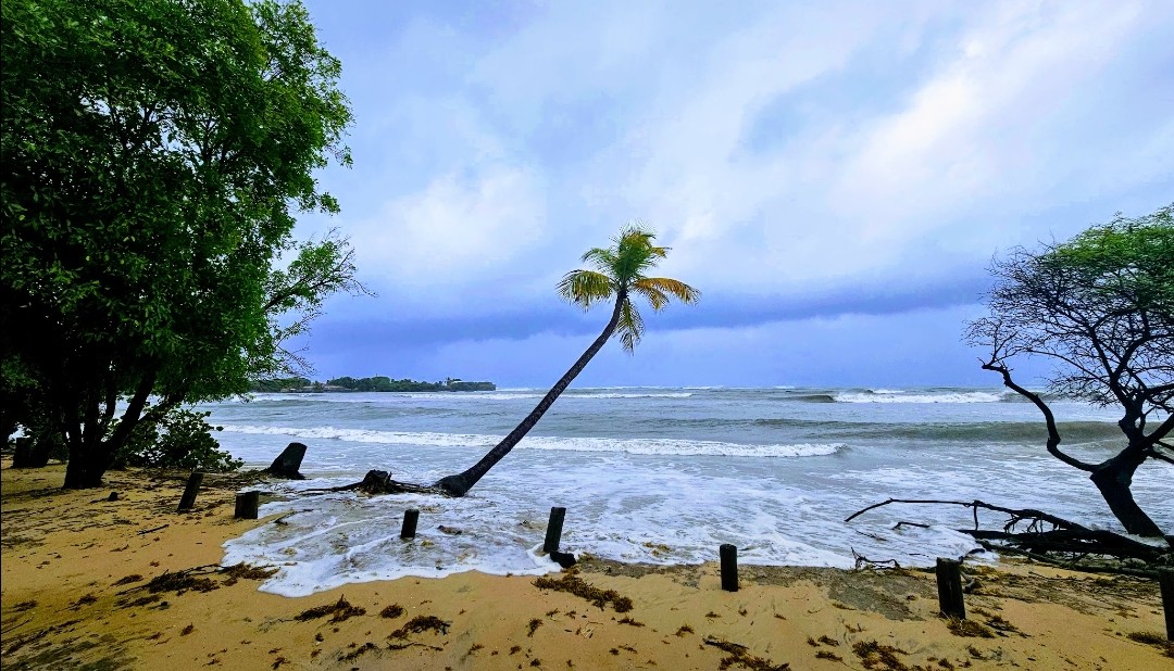 L'image du jour 02/07/24 - Beryl - Plage des salines - Martinique ...
