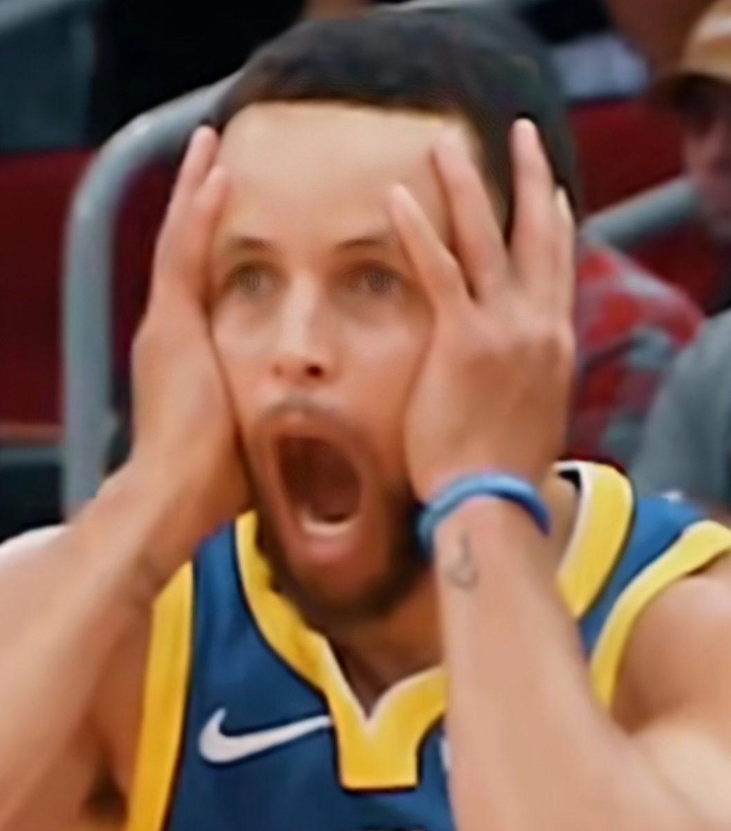 Un python de plus de 2 mètres capturé chez un particulier à Sainte-Luce ...