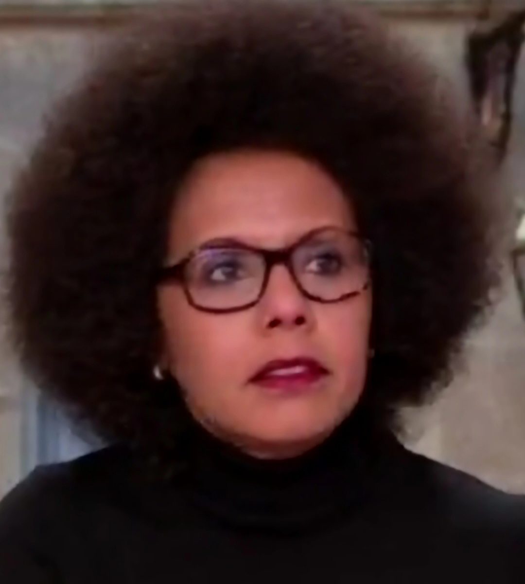 Audrey Pulvar en mode Angela Davis - Bondamanjak