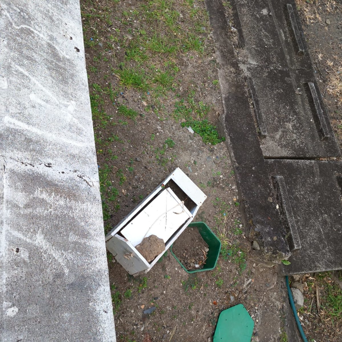 Matoutou préfectoral en Martinique ? - Bondamanjak